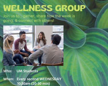 UM Wellness Group - MNO Synod